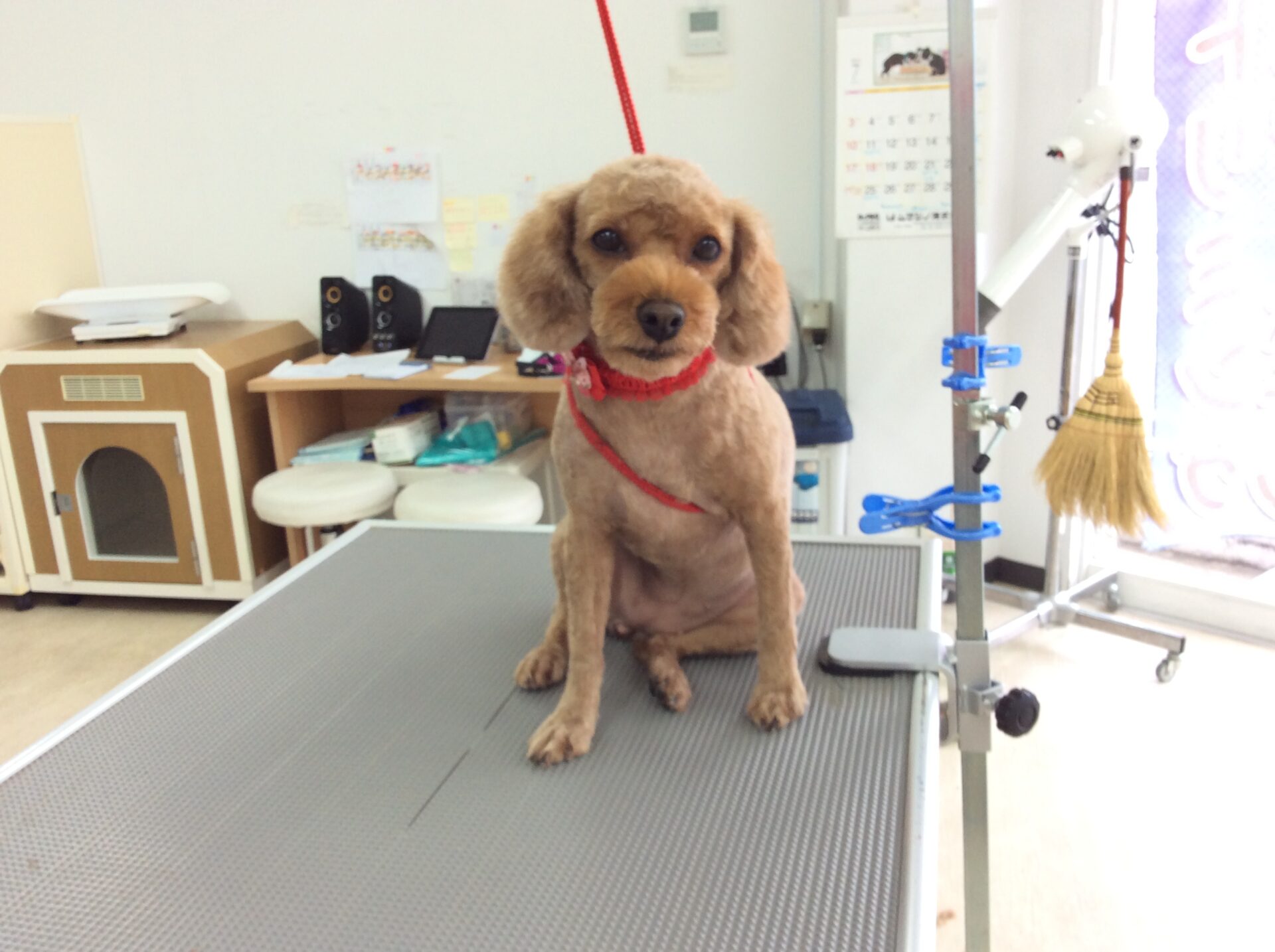 image | ばうわん